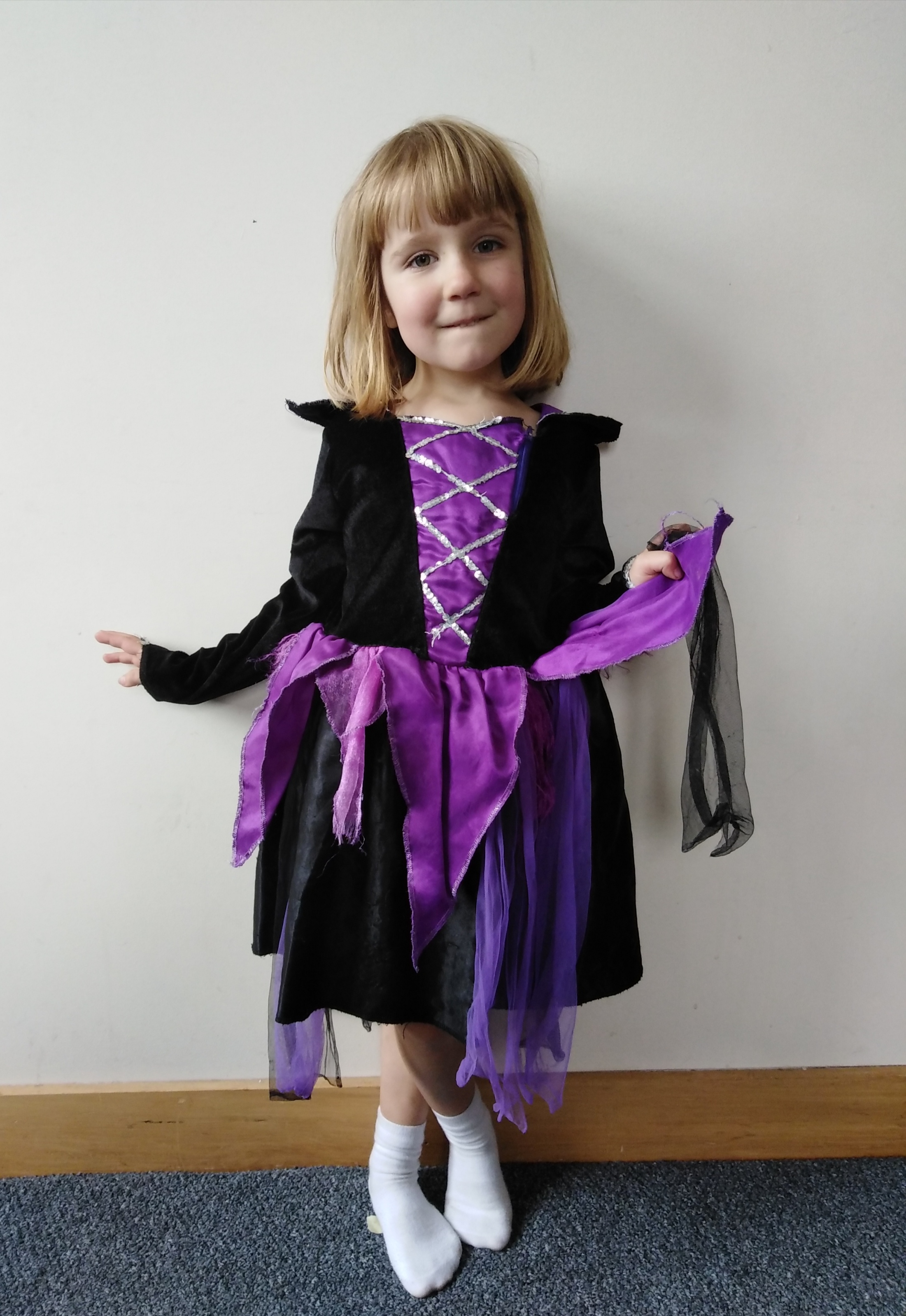 Vidia Fairy Costume